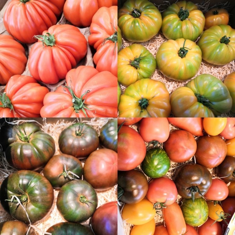 Desmettre – Desmettre, grossiste en fruits et légumes à Rungis, bâtiment A2 Desmettre – Desmettre, grossiste en fruits et légumes à Rungis, bâtiment A2